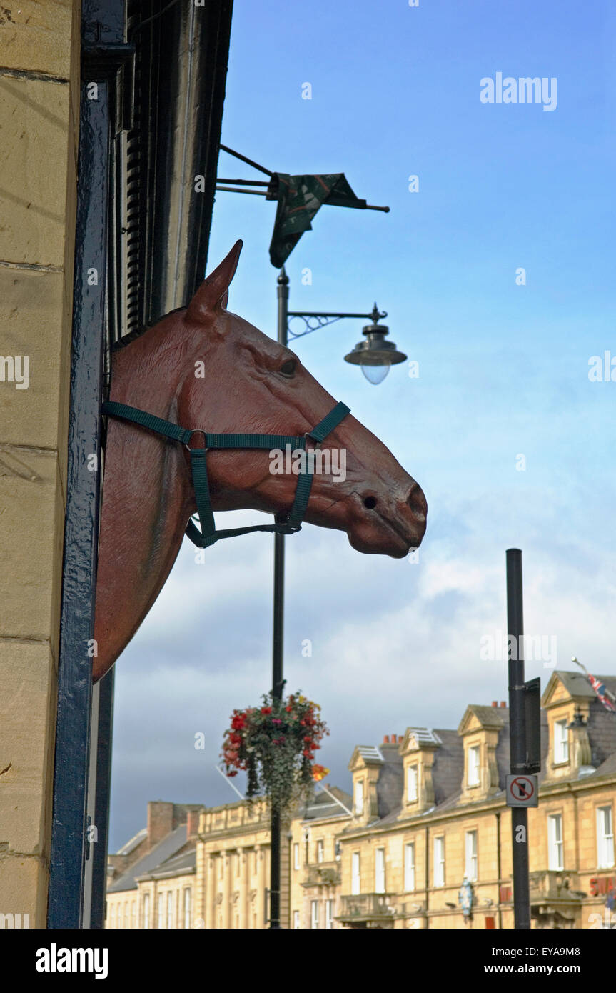 Fake horse hi-res stock photography and images - Alamy