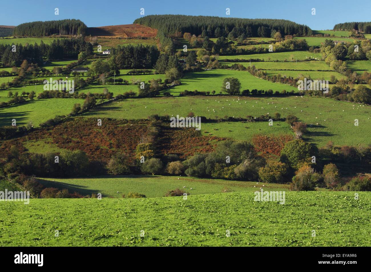 The Nire Valley In Munster Region; County Tipperary, Ireland Stock ...