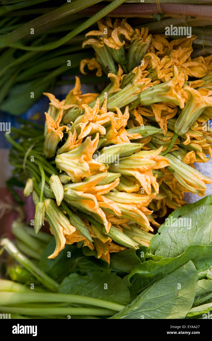 Long marrow hi-res stock photography and images - Alamy