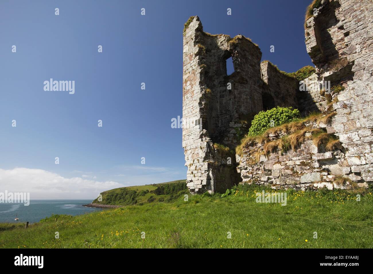 Ruins Of Minard Castle On The Dingle Peninsula In Munster Region ...