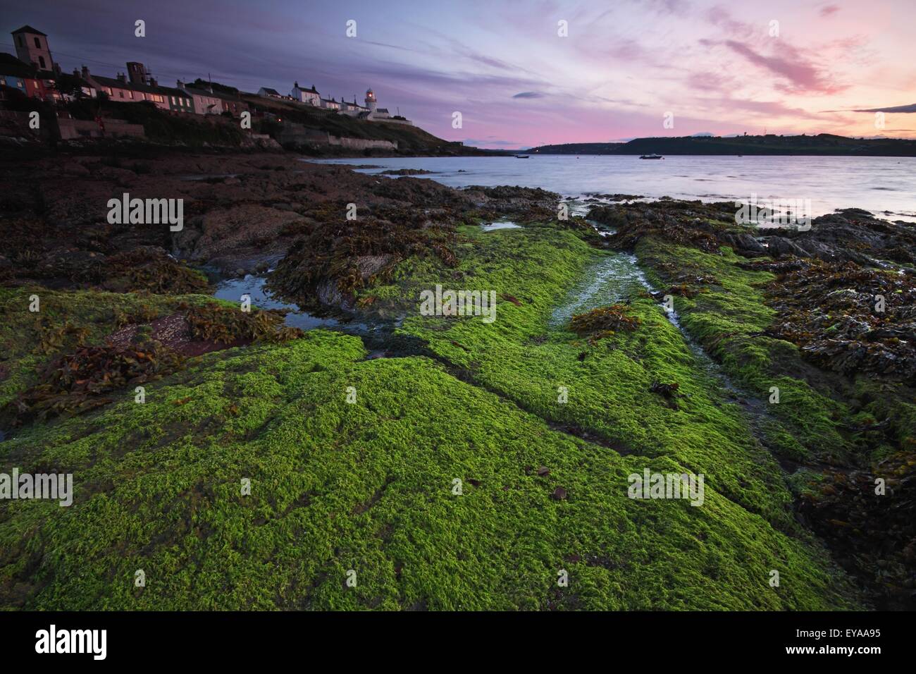 Roches point ireland hi-res stock photography and images - Alamy