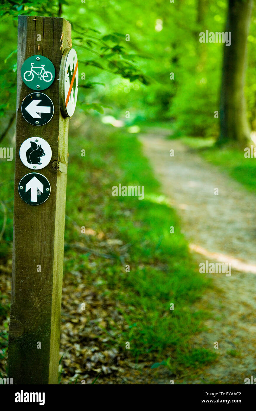 Cycle And Walking Path Sign Post Beside Path, Weybourne,Norfolk,Uk ...