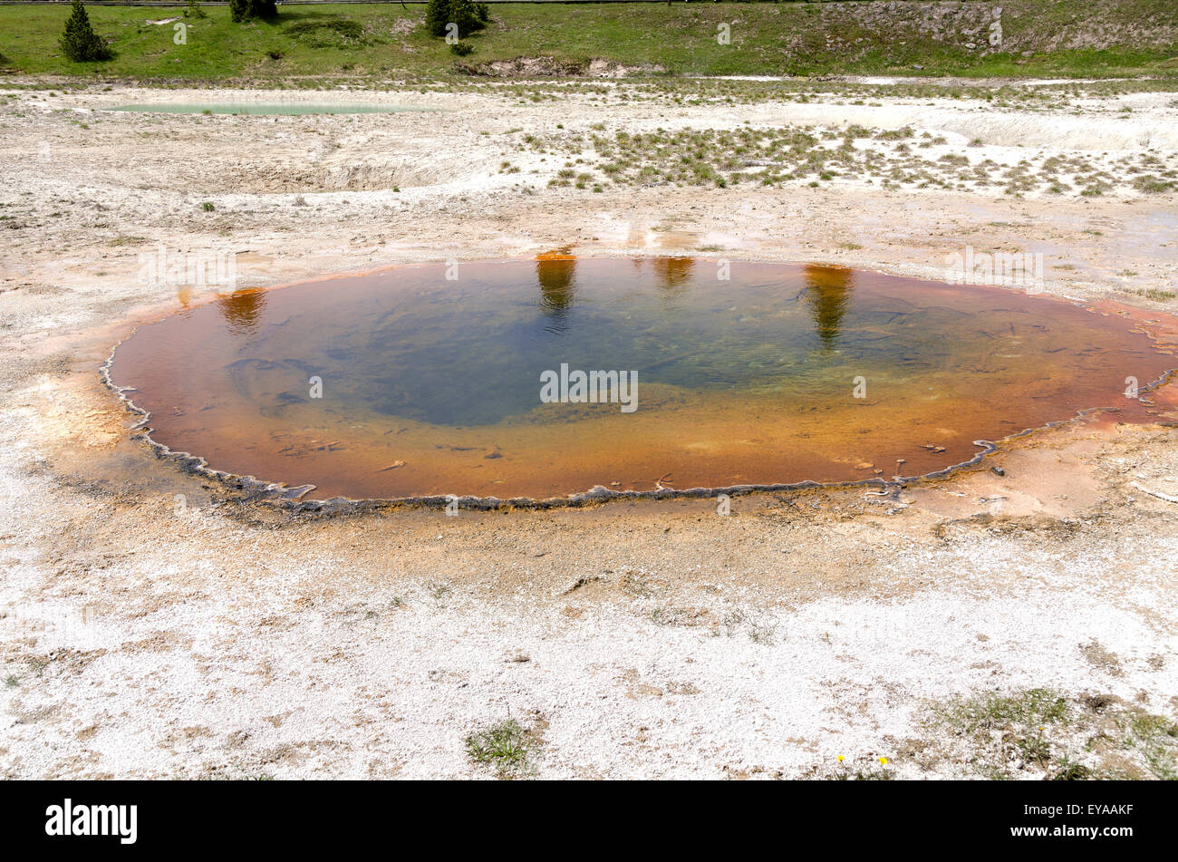 landscape and Geyser in Yellowstone National Park Stock Photo - Alamy