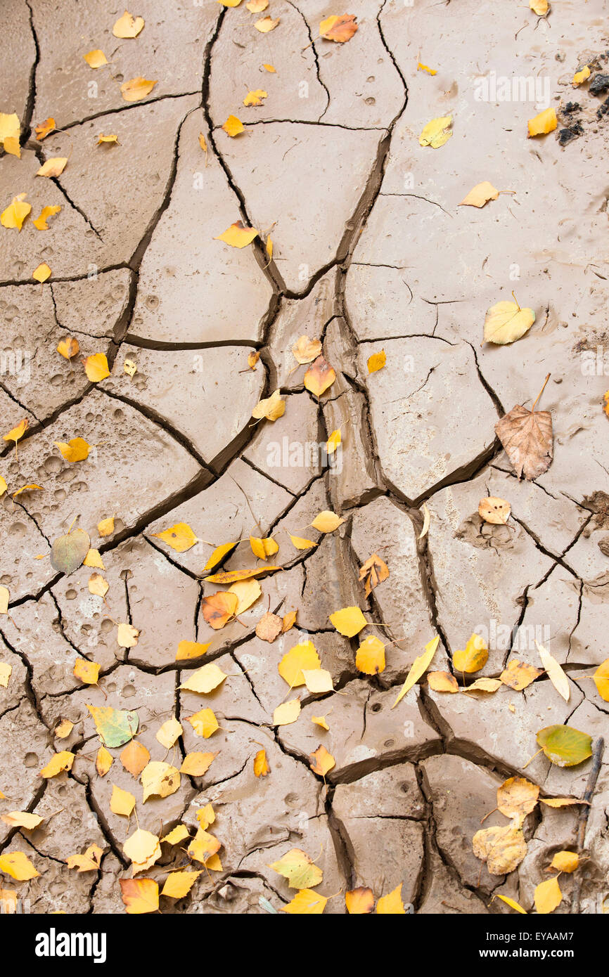 Fissured hi-res stock photography and images - Alamy