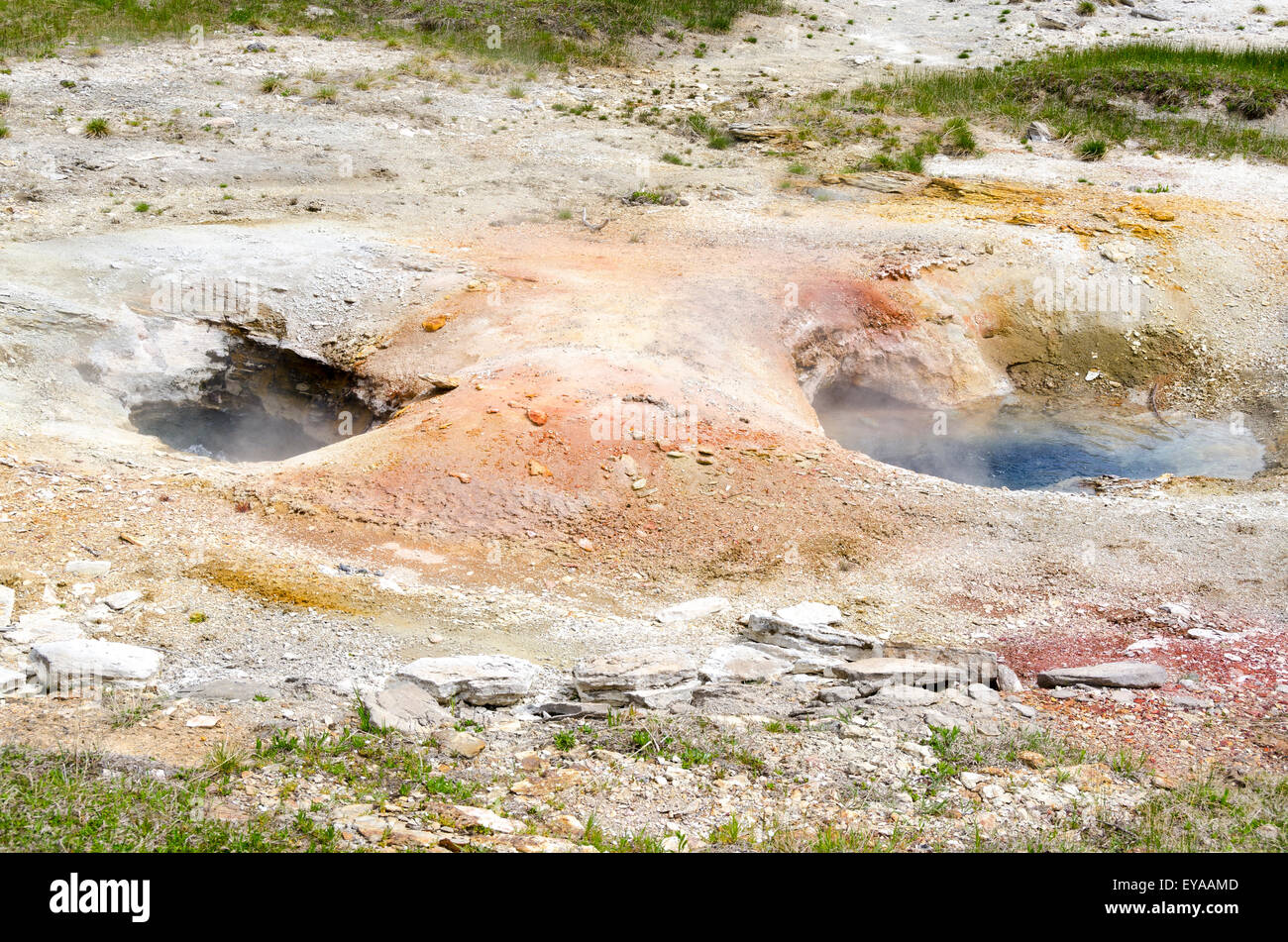 landscape and Geyser in Yellowstone National Park Stock Photo - Alamy