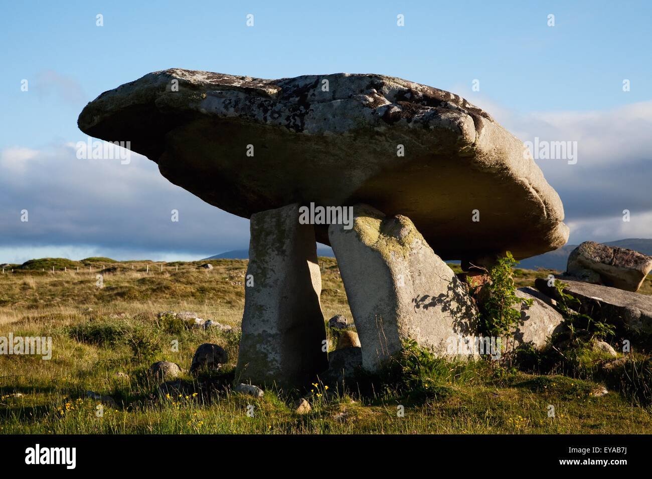 Kilclooney Dolmen Near Ardara; County Donegal, Ireland Stock Photo - Alamy