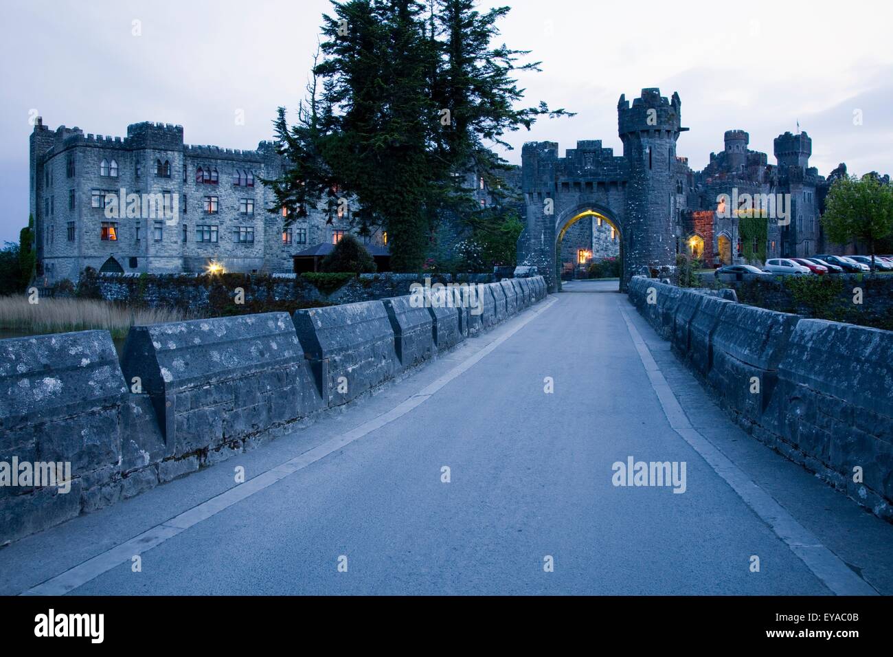 Road To Ashford Castle At Dusk; Cong, County Mayo, Ireland Stock Photo ...