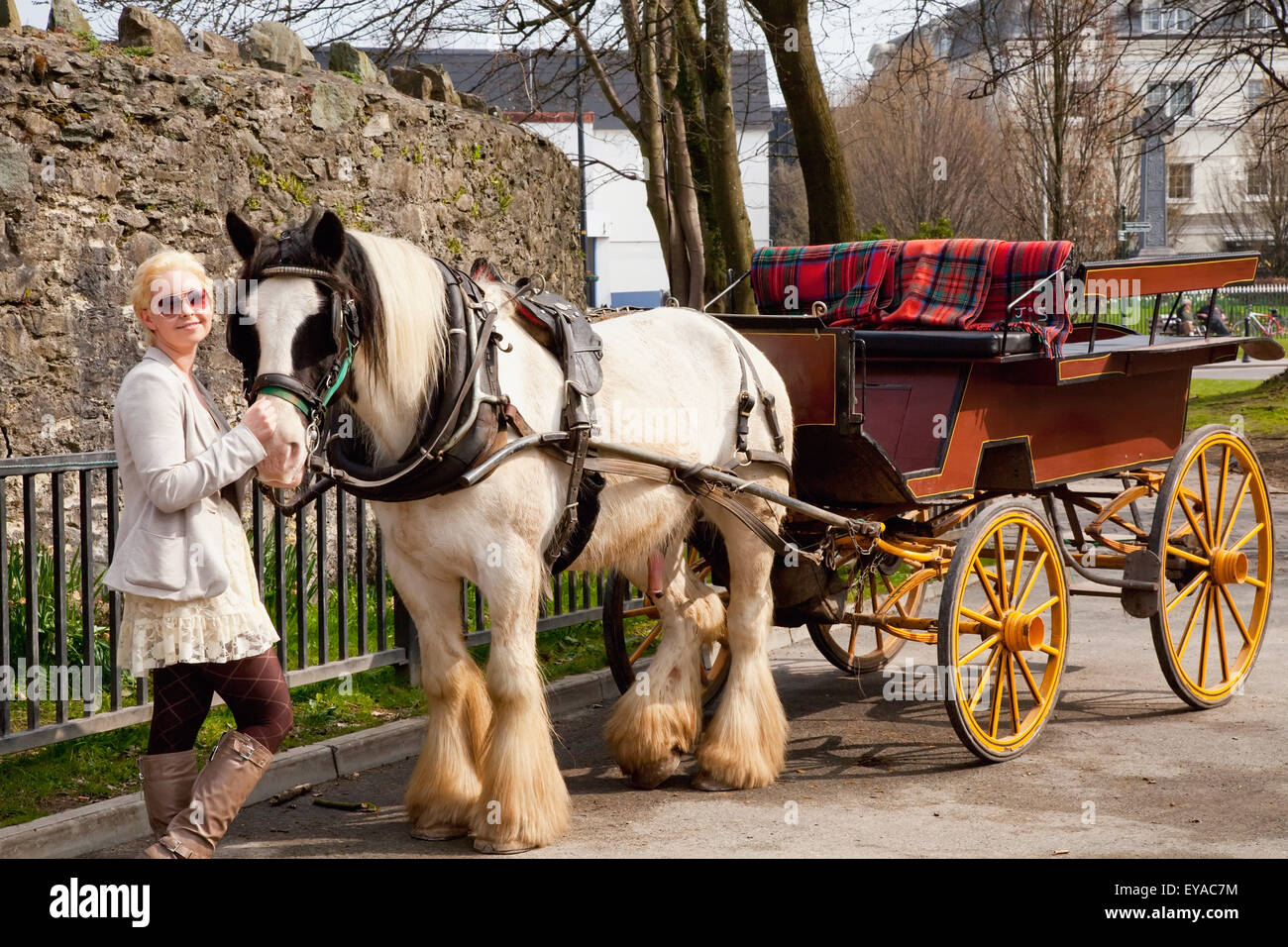 Young Woman Standing By Traditional Jaunting Cart; Killarney, County ...