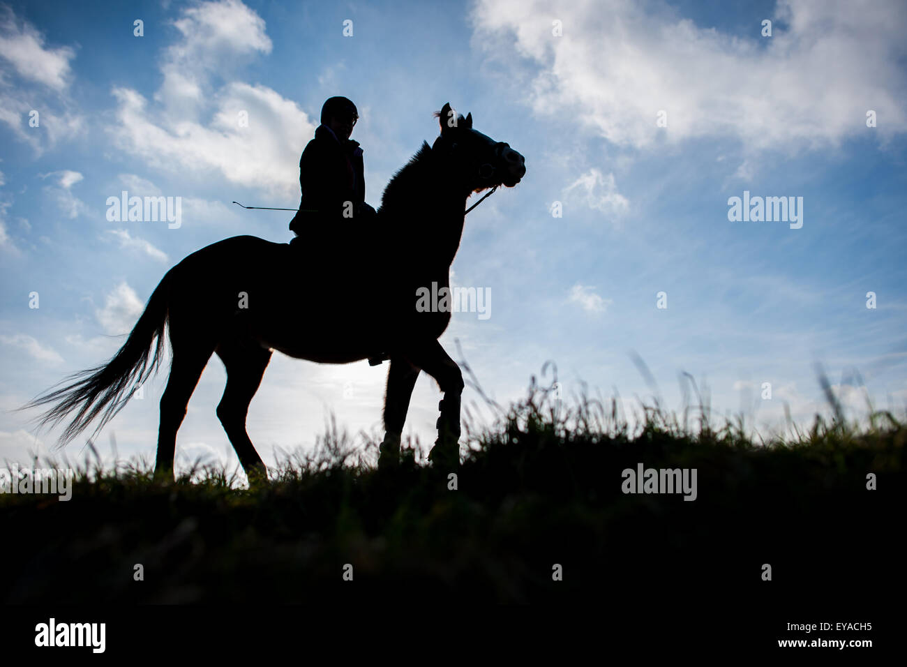 Rider field hi-res stock photography and images - Alamy