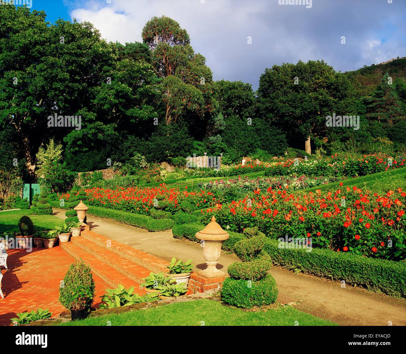 Walled potager hi-res stock photography and images - Alamy
