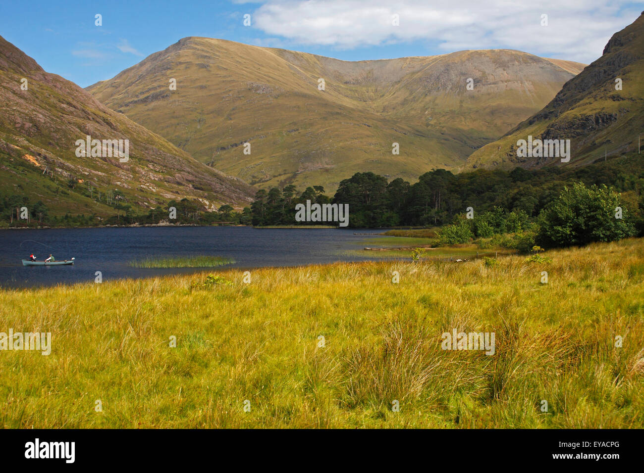 Fishing Boat On A Lake In The Delphi Valley; County Mayo, Ireland Stock ...