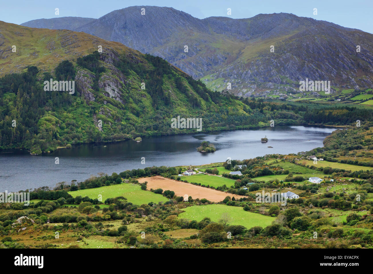 Glanmore Lake From The Healy Pass; County Kerry, Republic Of Ireland ...