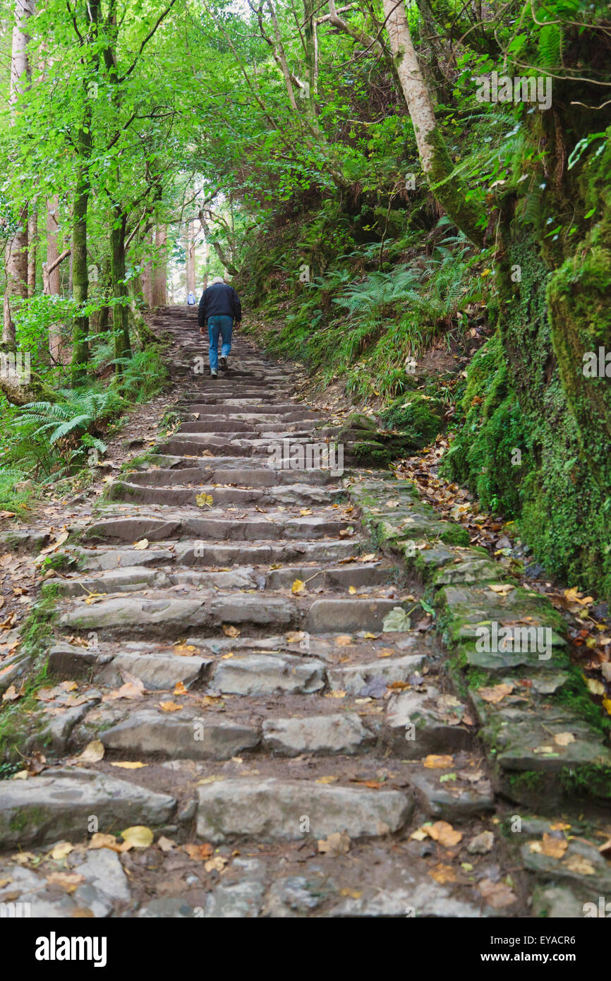 Stone Steps Near Torc Waterfall In Killarney National Park; County ...