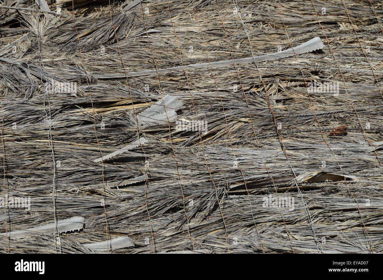 Texture of the classic thatch roof Stock Photo - Alamy