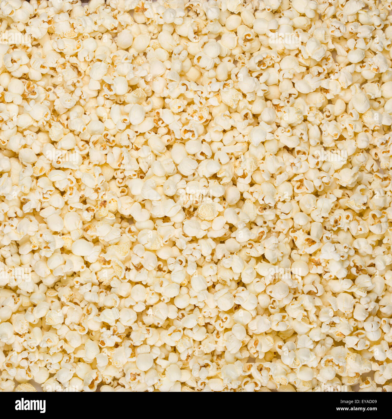 Indian india sweet corn hi-res stock photography and images - Alamy