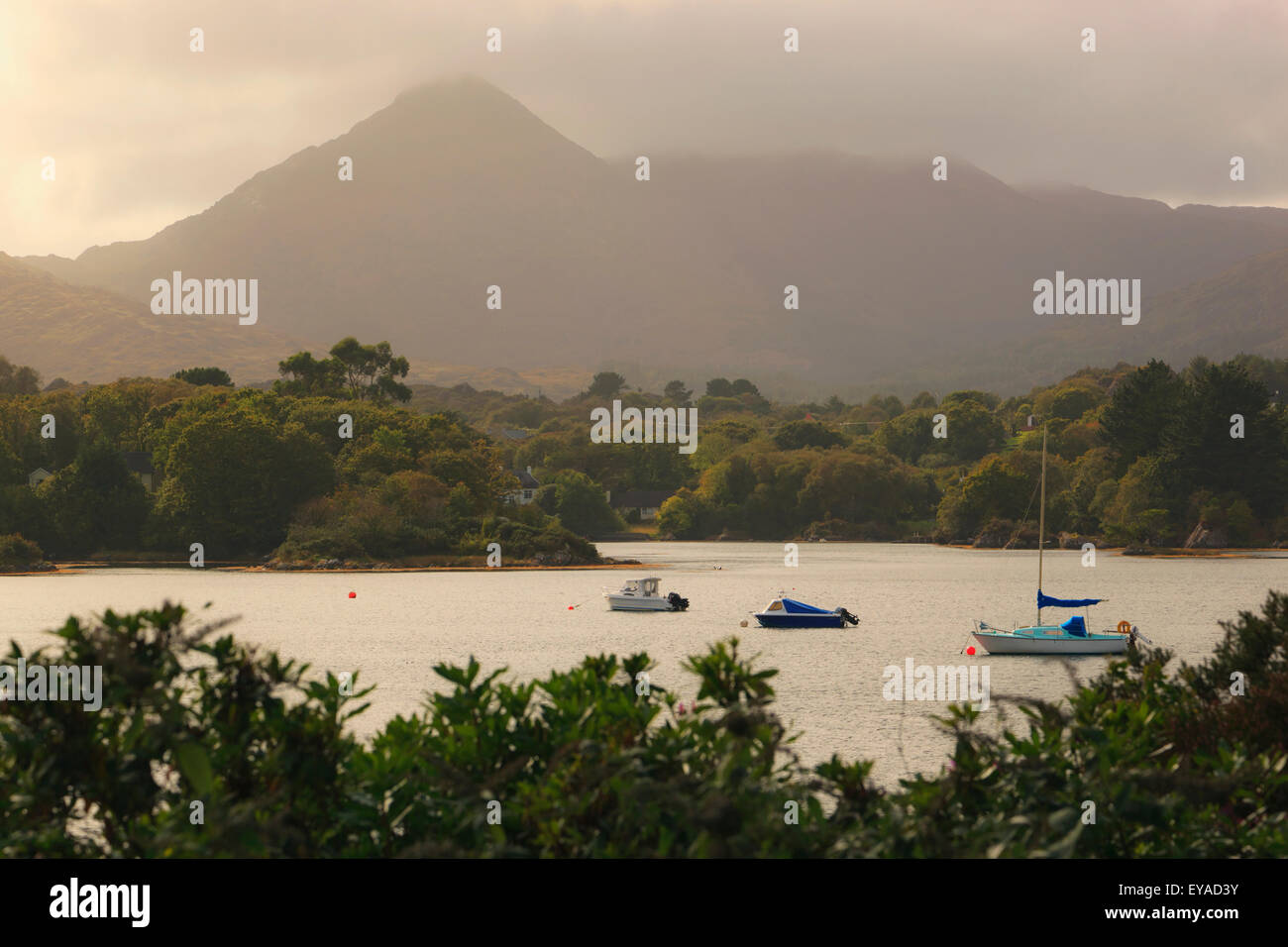 View Across Glengarriff Harbour From Garnish Island; Glengarriff ...