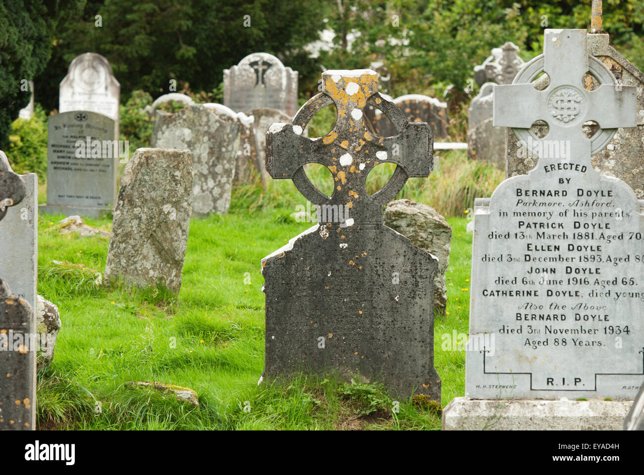 Tombstones In A Cemetery; Ireland Stock Photo - Alamy