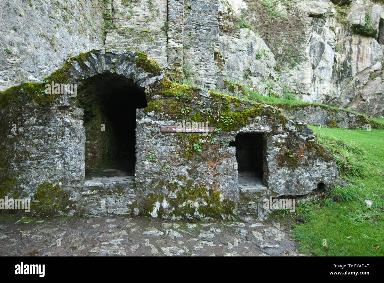Entrances Into A Moss Covered Stone Structure; Blarney, County Cork ...