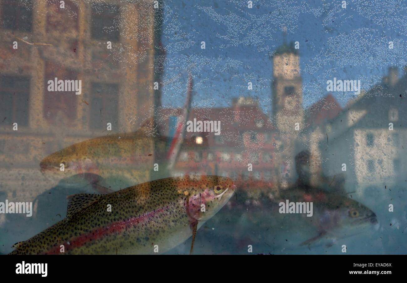 The panorama of the town Memmingen is reflected in the aquarium in ...