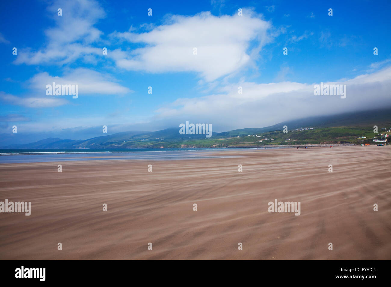 Inch Beach; Inch,County Kerry, Ireland Stock Photo - Alamy