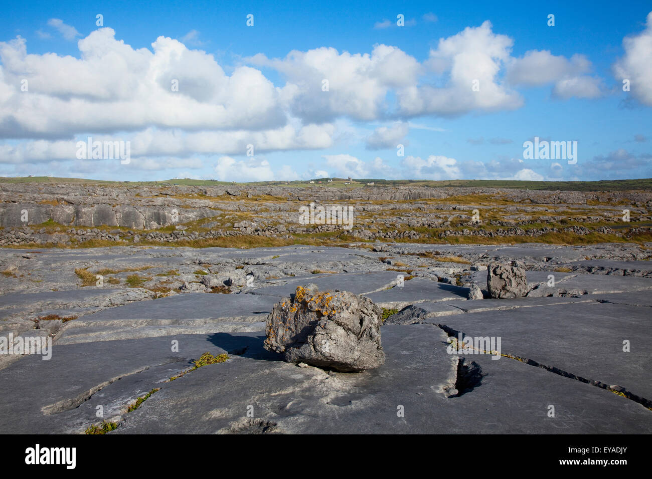 Rock Slab And Landscape Of The Burren; County Clare, Ireland Stock ...