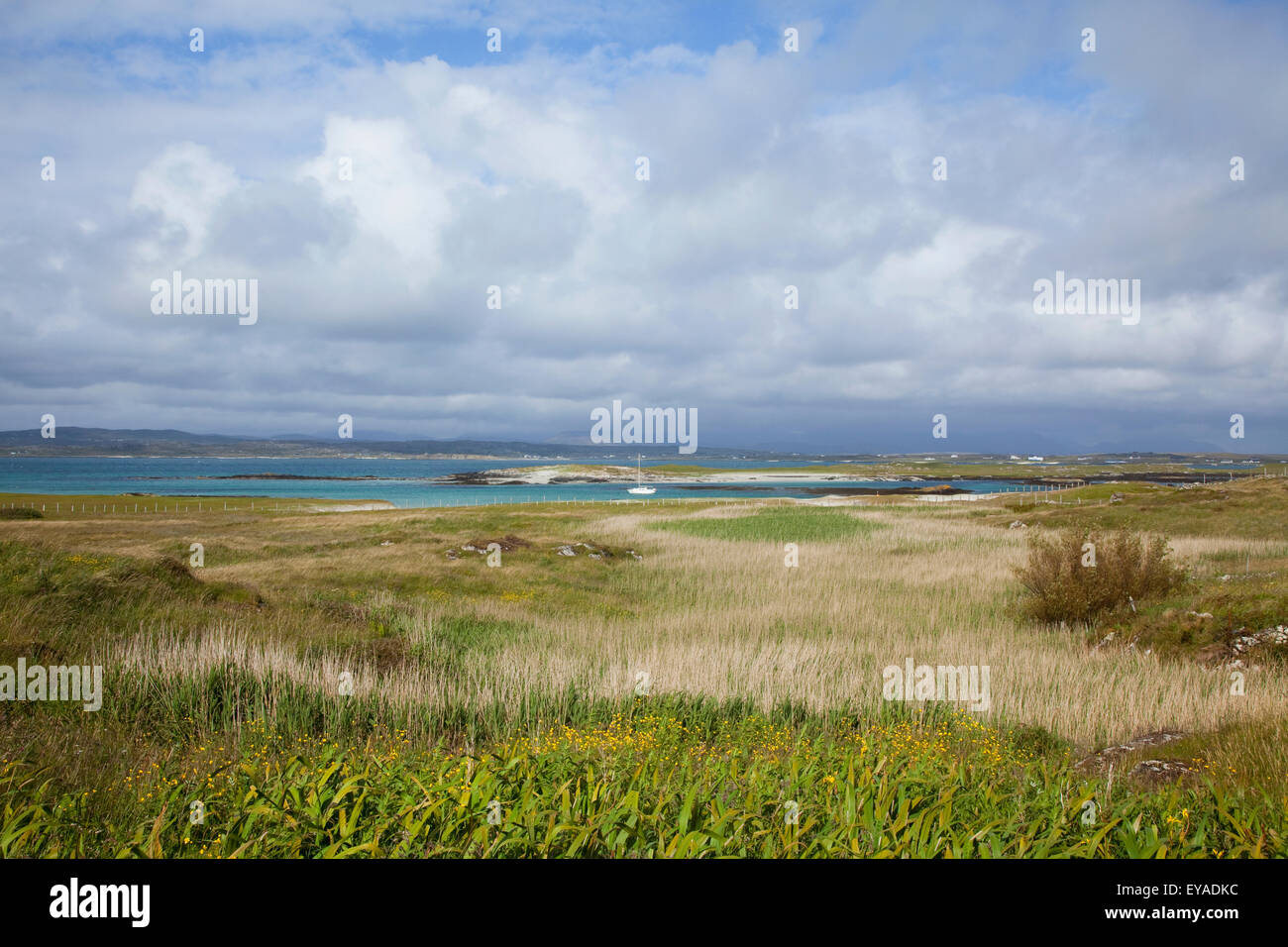 Landscape Near Clifden At Ballyconneely Bay; County Galway, Ireland ...