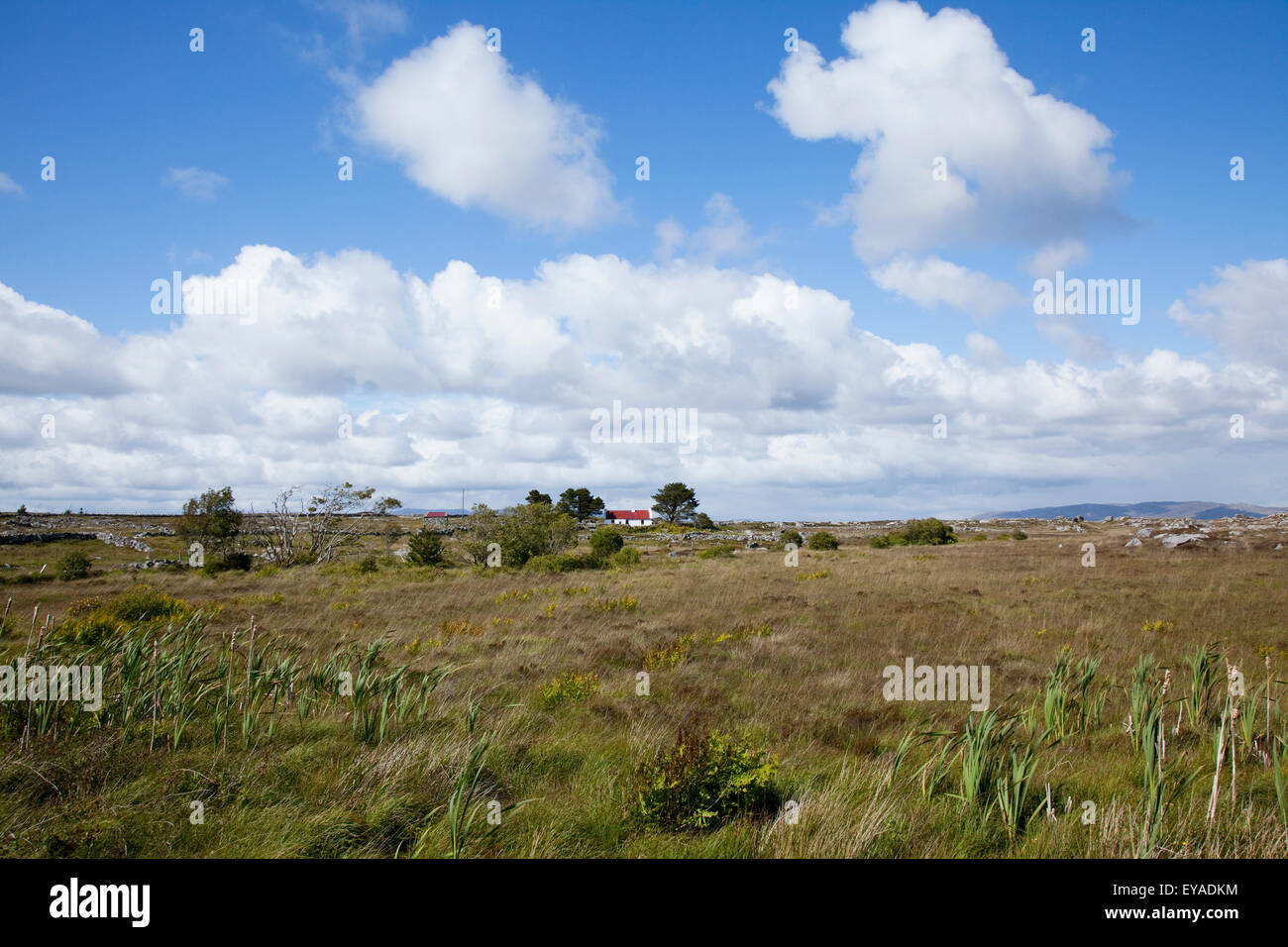Traditional Cottage Near Carrowroe; County Galway, Ireland Stock Photo ...