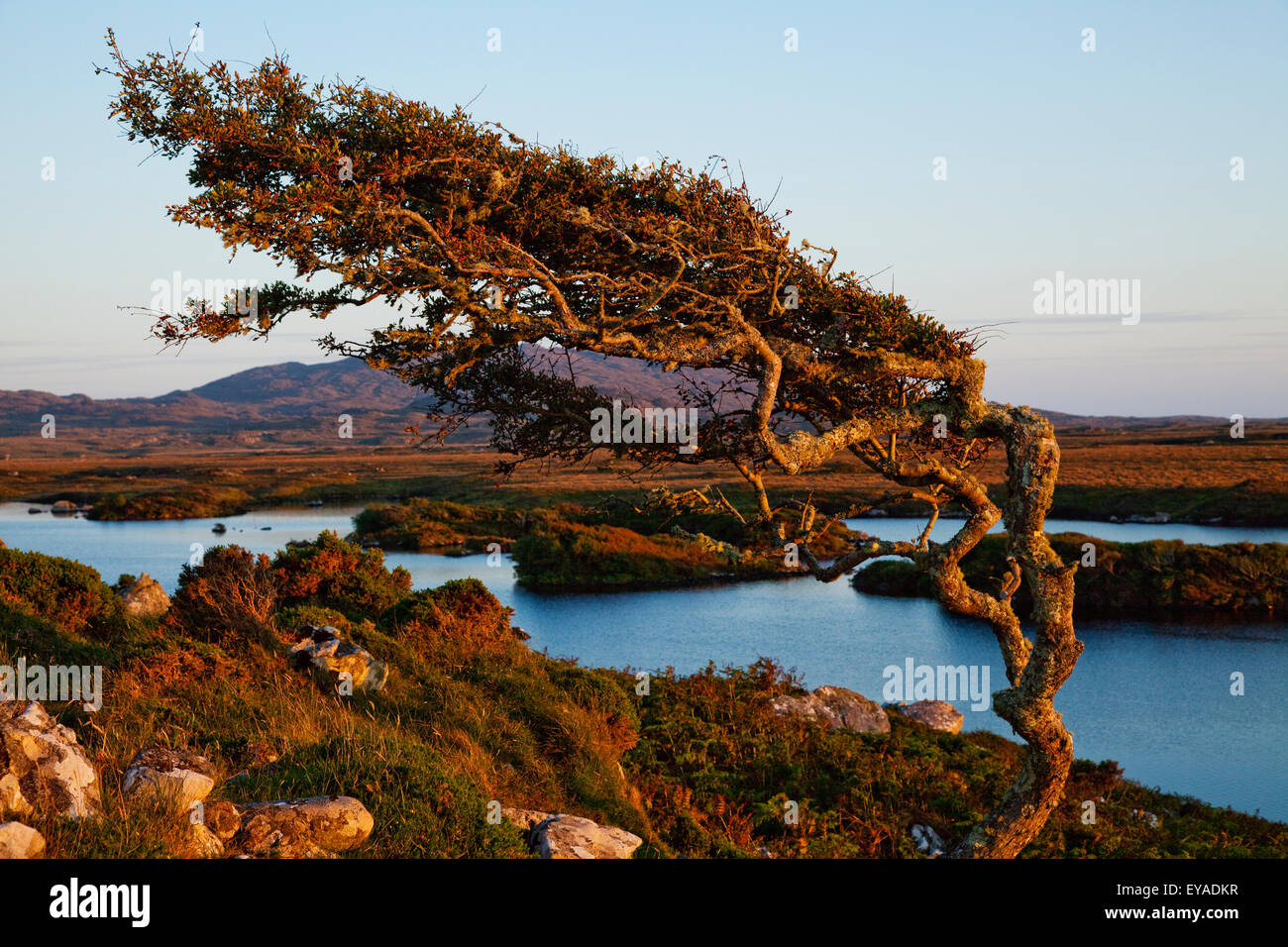 Roundstone bog connemara hi-res stock photography and images - Alamy