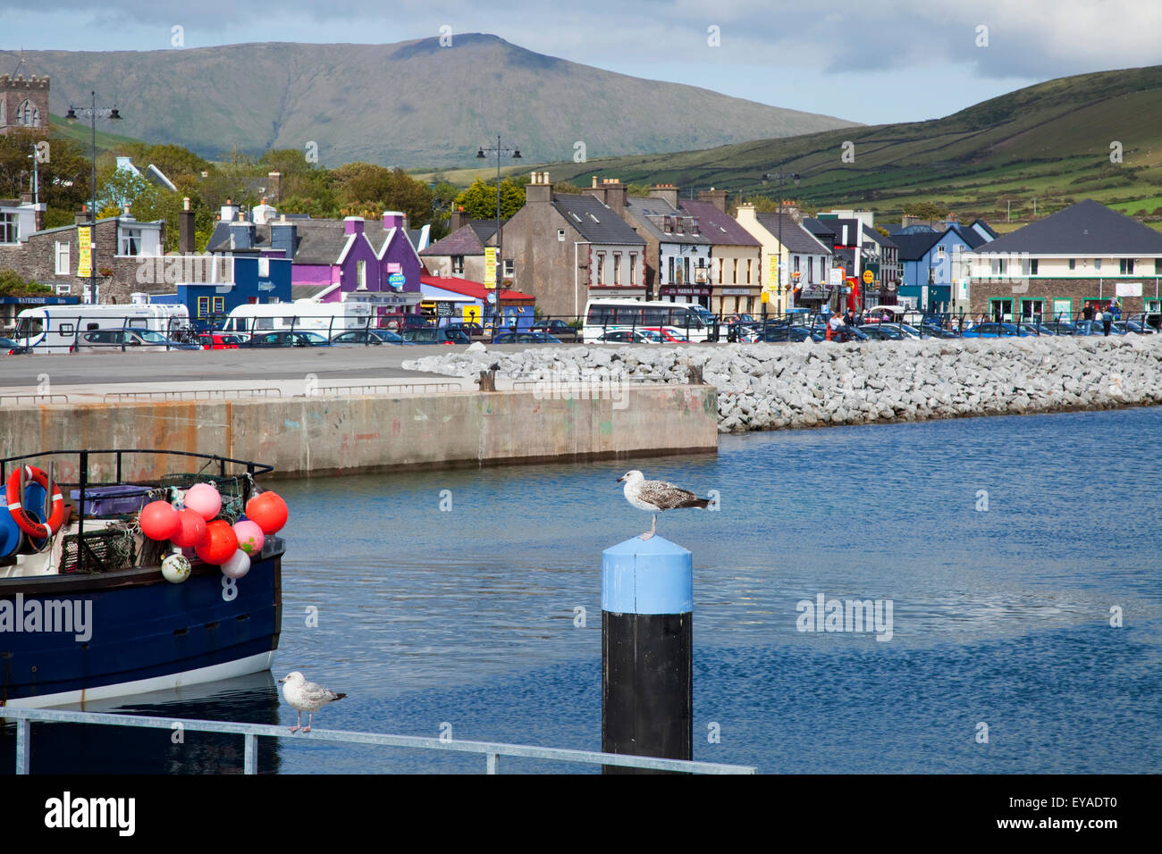 Dingle Harbour And Town; Dingle, County Kerry, Ireland Stock Photo - Alamy