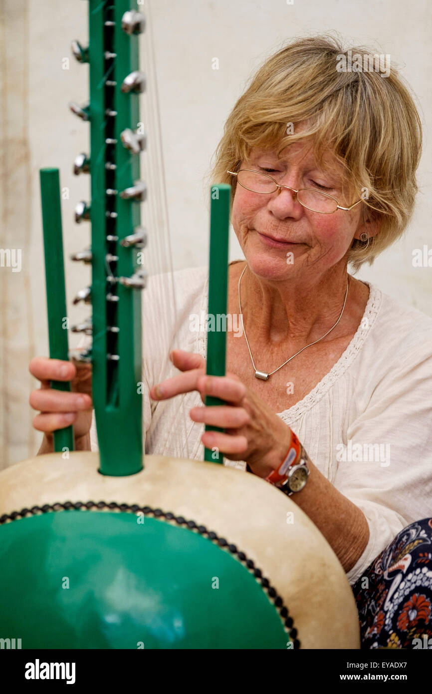West african 21 string harp lute hi-res stock photography and images ...