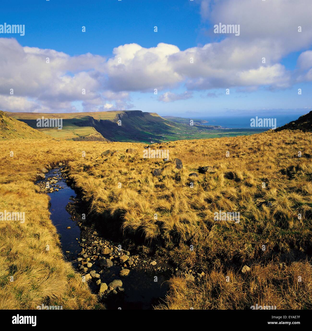Plateau in one of the glens of antrim hi-res stock photography and ...