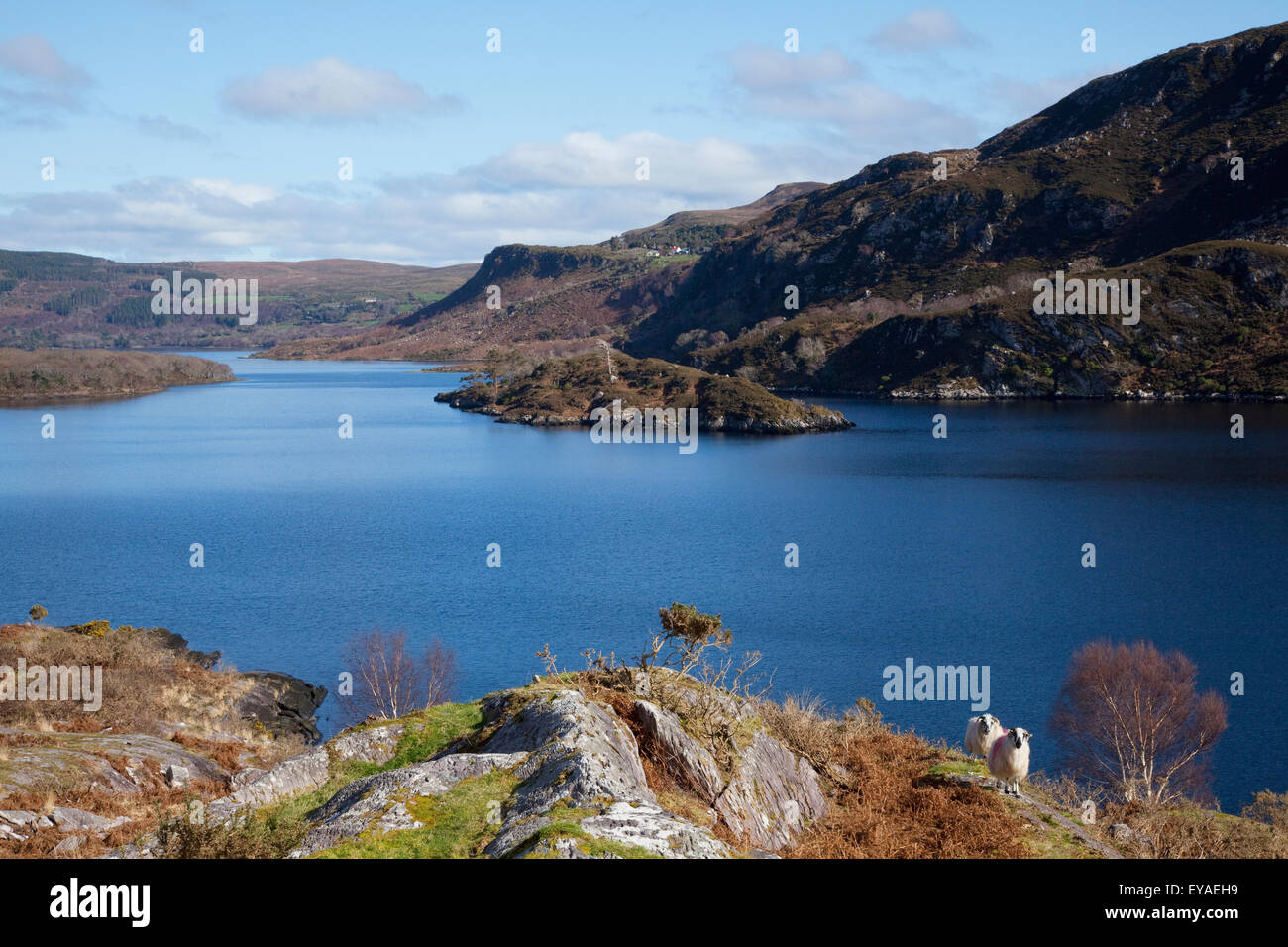 Caragh hi-res stock photography and images - Alamy