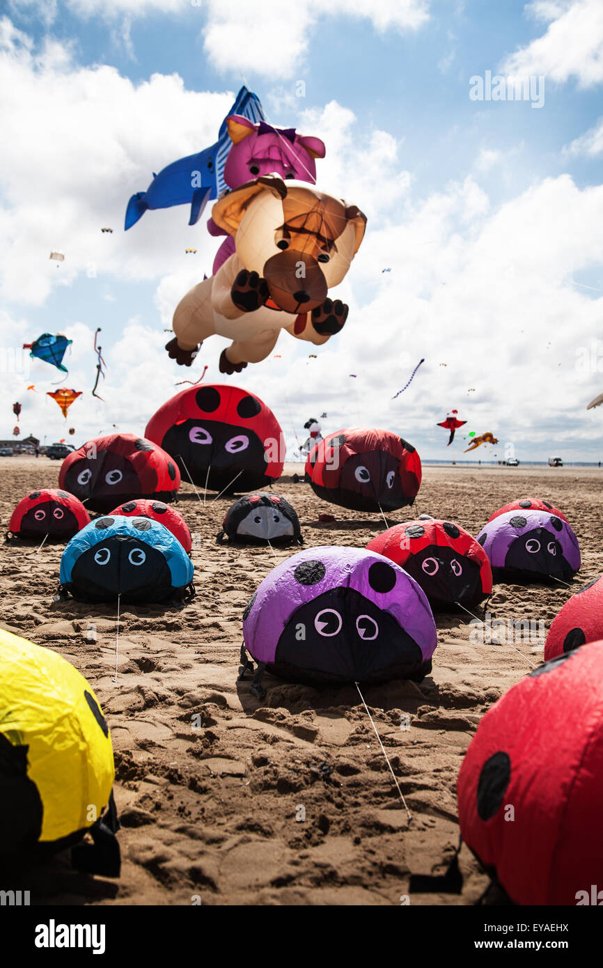 Lytham, Lancashire, UK Ladybirds, Dog and Teddy Bear & ladybird ground ...