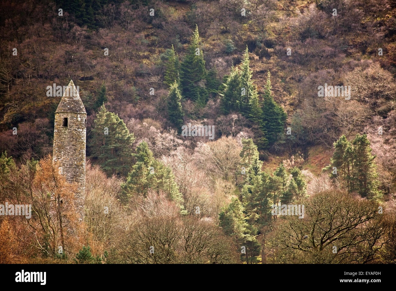 Round Tower Surrounded By Trees; Glendalough County Wicklow Ireland ...