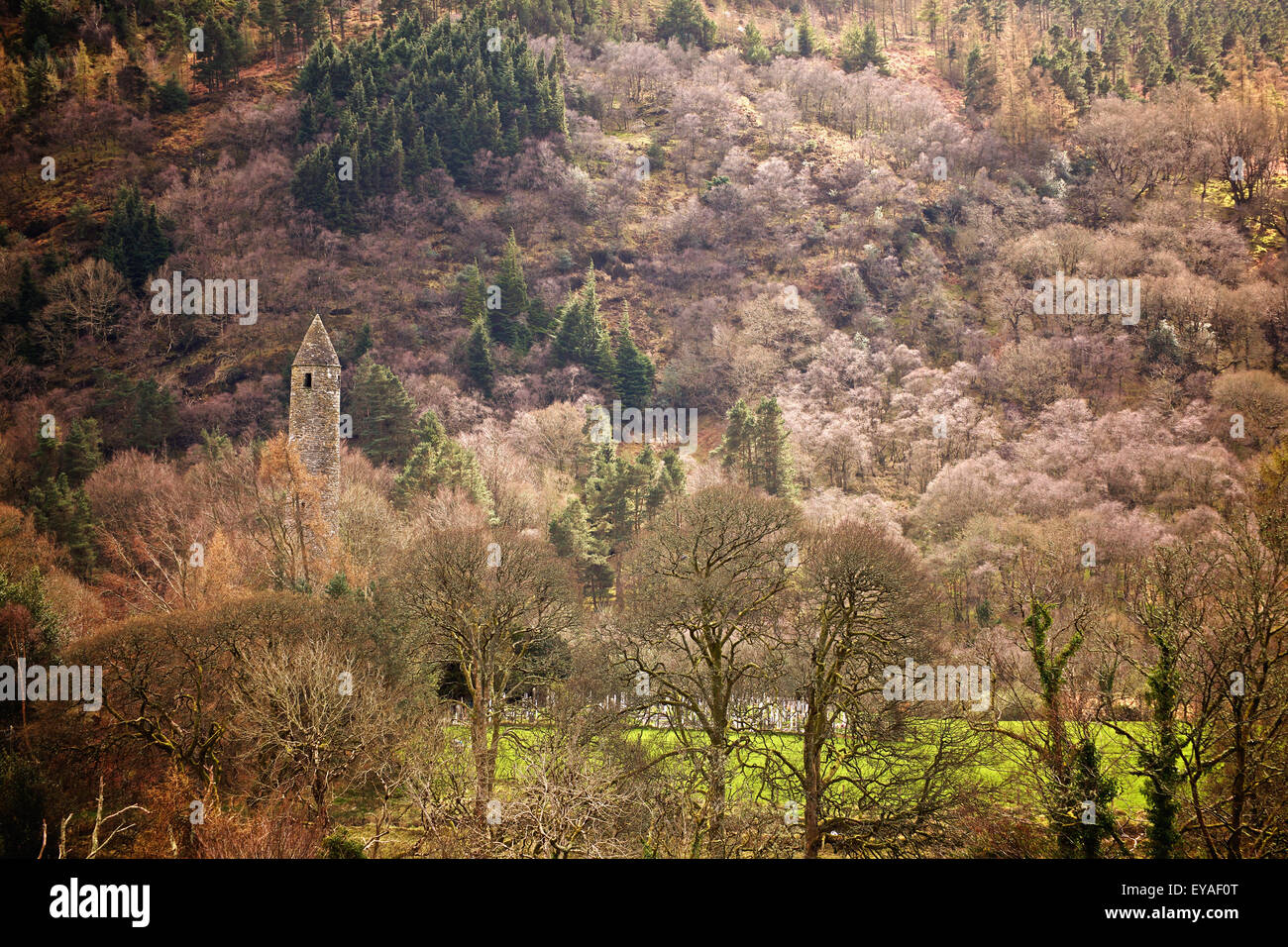 Round Tower Surrounded By Trees; Glendalough County Wicklow Ireland ...