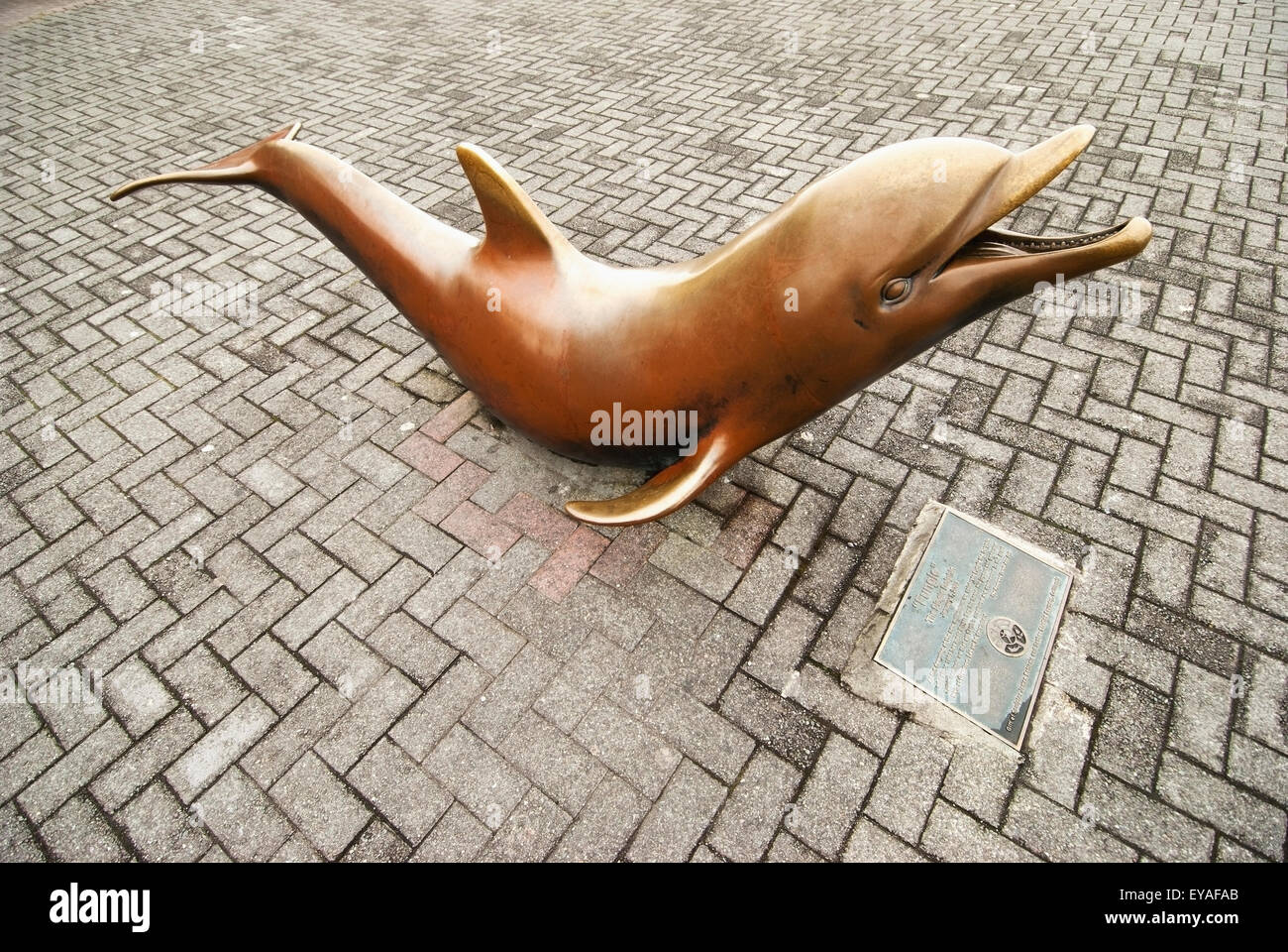 Bronze Sculpture Of A Dolphin On A Stone Walkway; Dingle, County Kerry ...