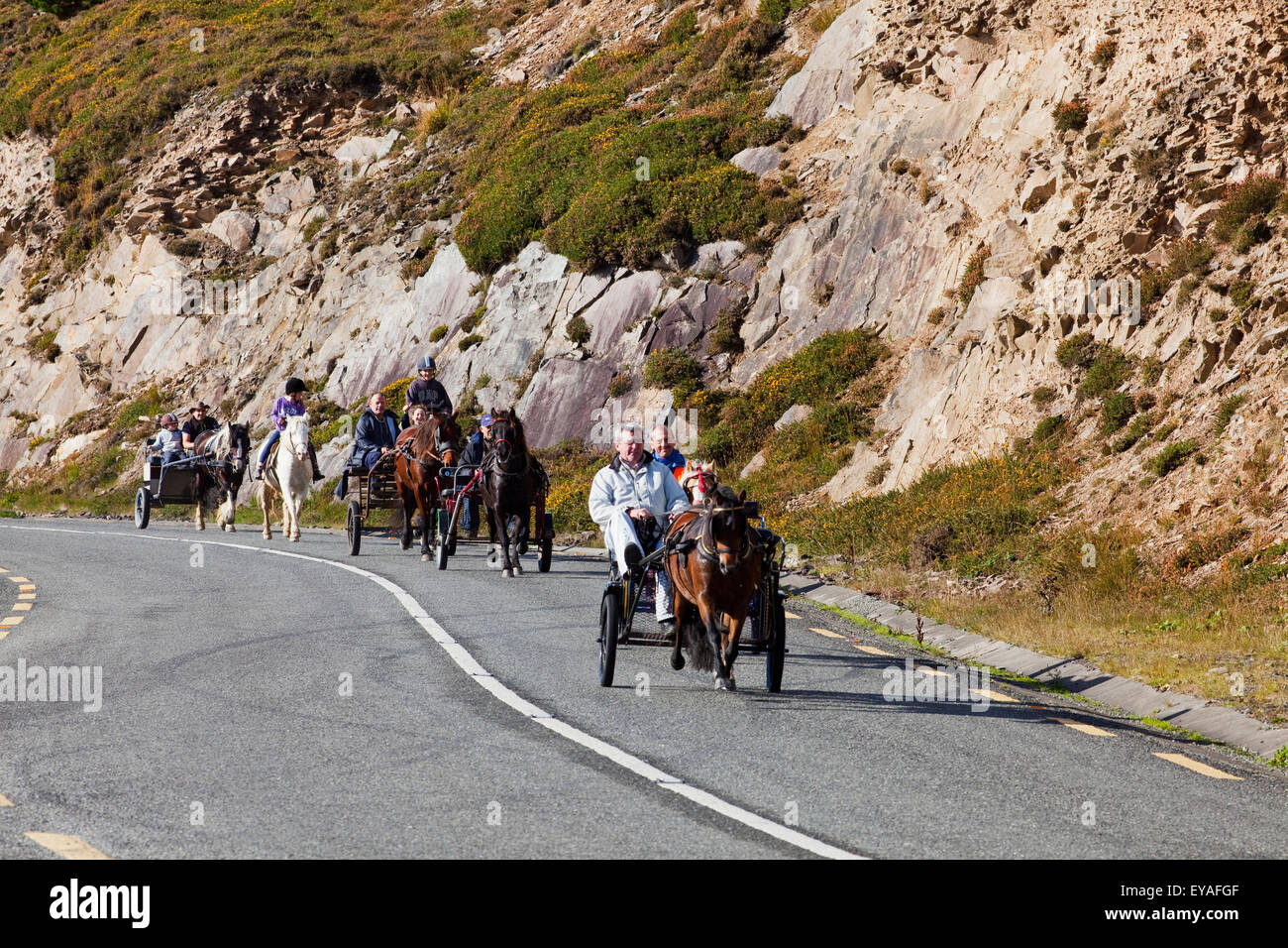 Riding in a horse-drawn cart down a coast road, near Dingle; County ...