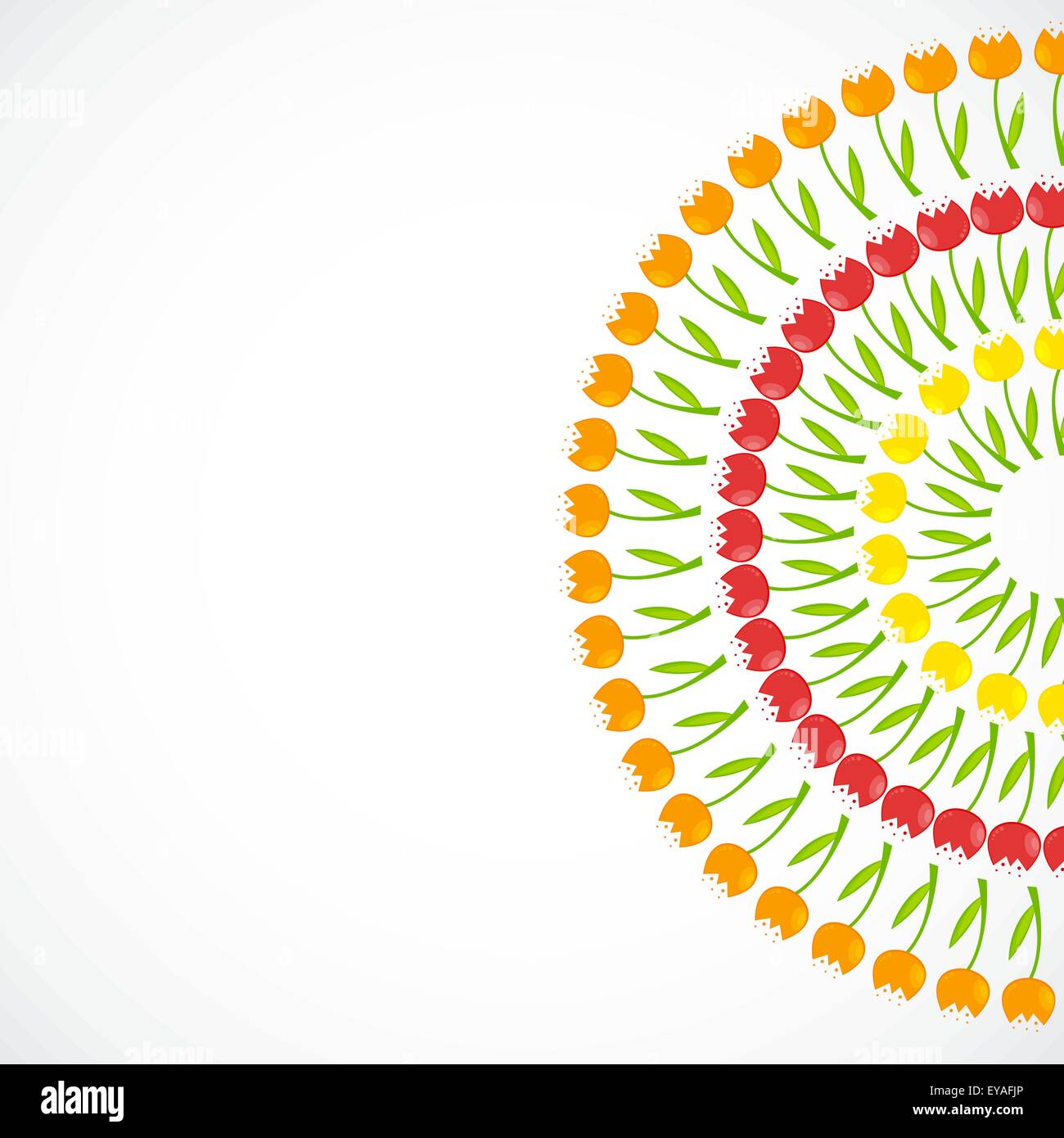 Floral Background with Tulips Vector Illustration Stock Vector Image ...