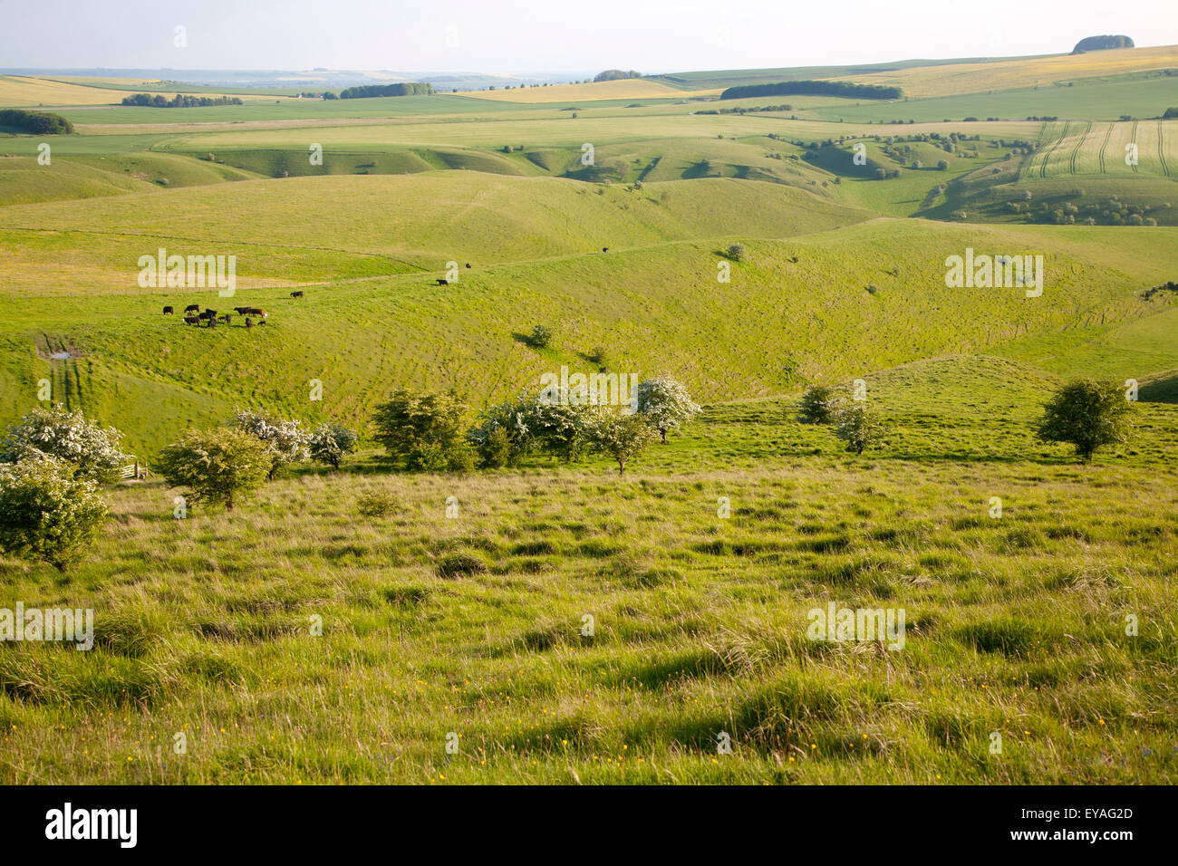 Southern england rural landscape hi-res stock photography and images ...