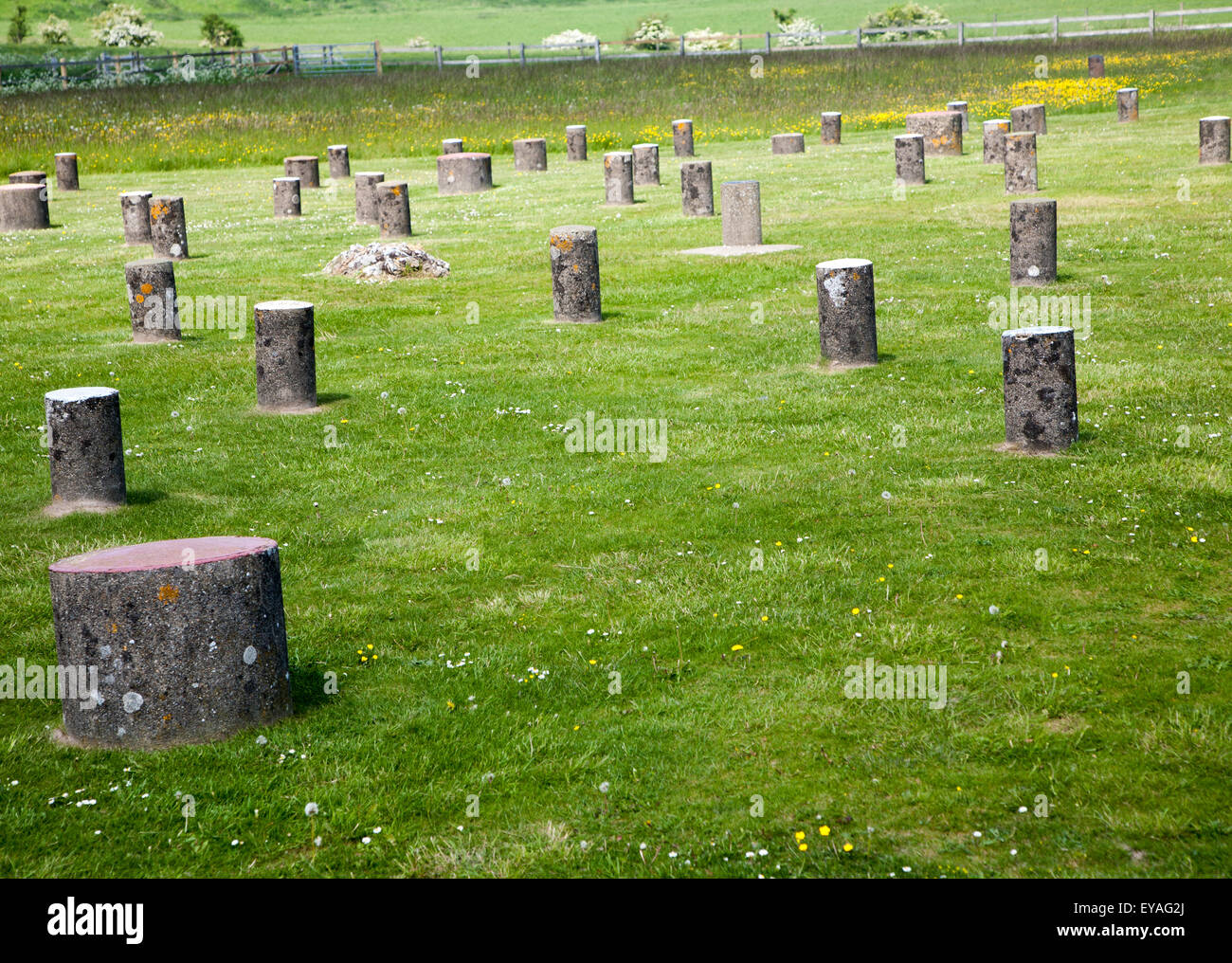 Concrete marker posts identify the position of wooden posts at ...