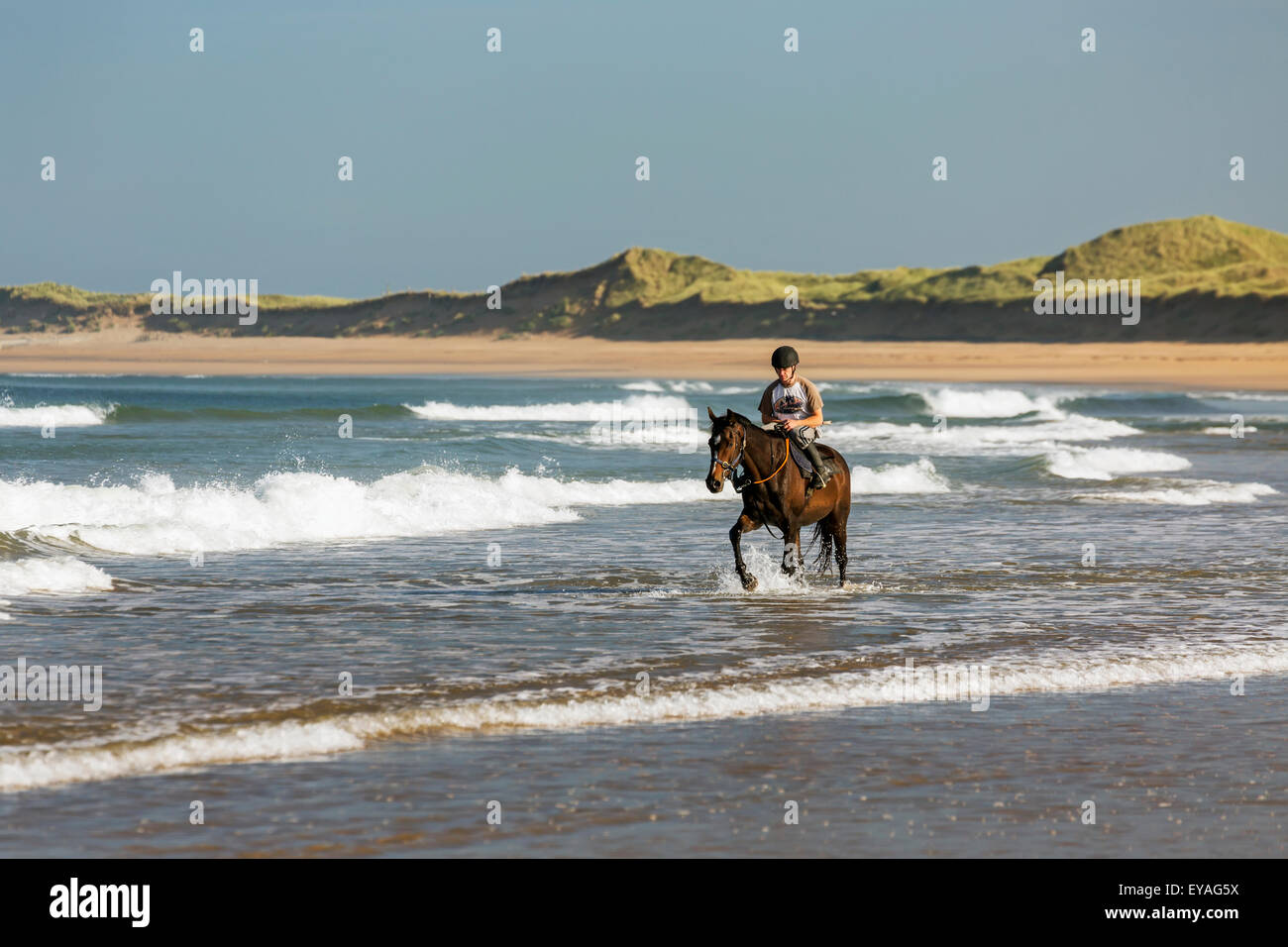 Horse and rider on beach with grassy sand dunes and blue sky; Count ...