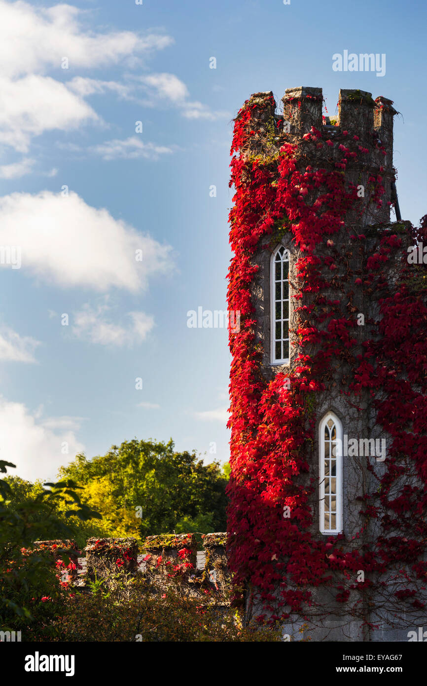 Red ivy growing up stone castle turret with blue sky and clouds; County ...