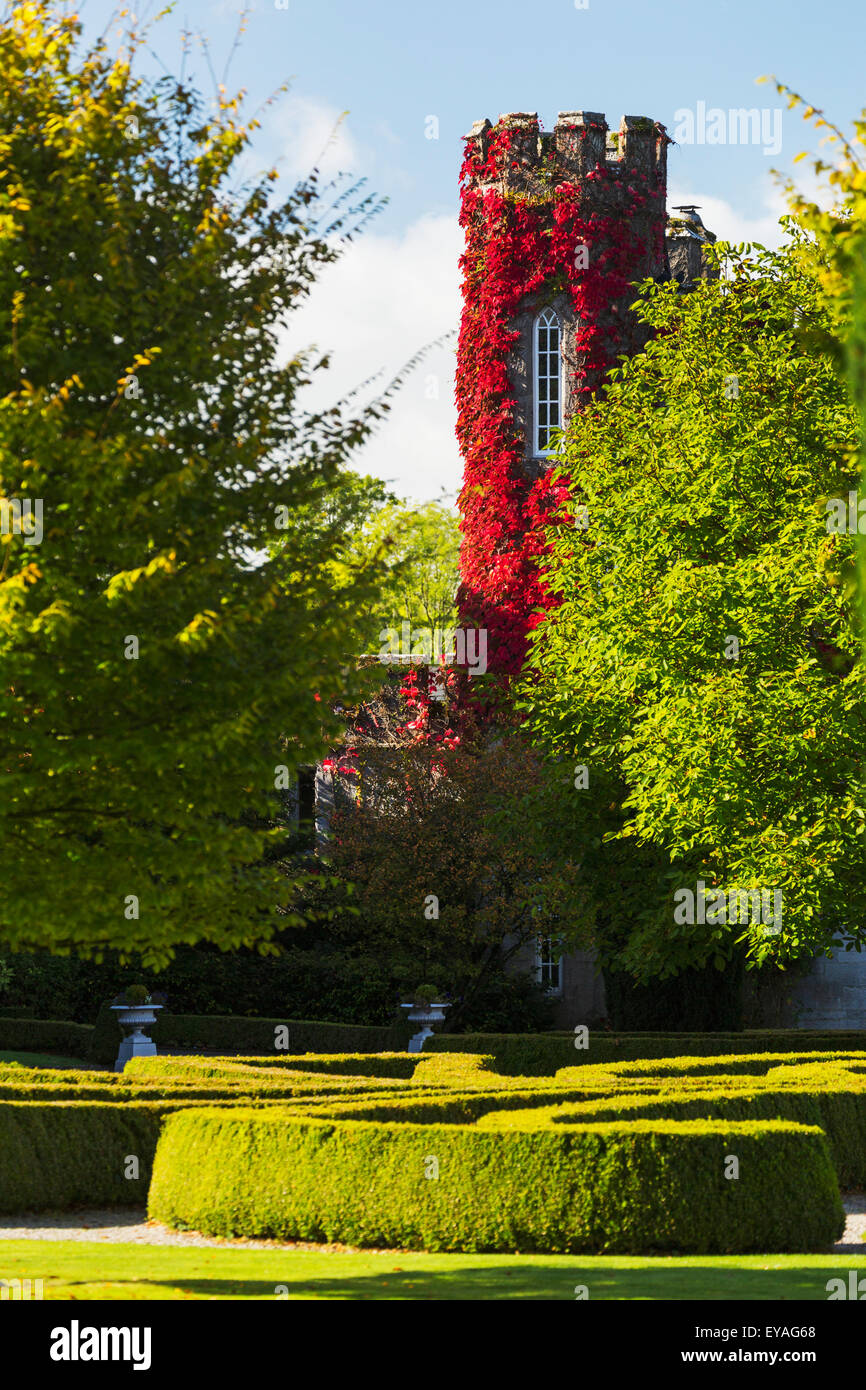 Red ivy growing up stone castle turret framed by trees with manicured ...