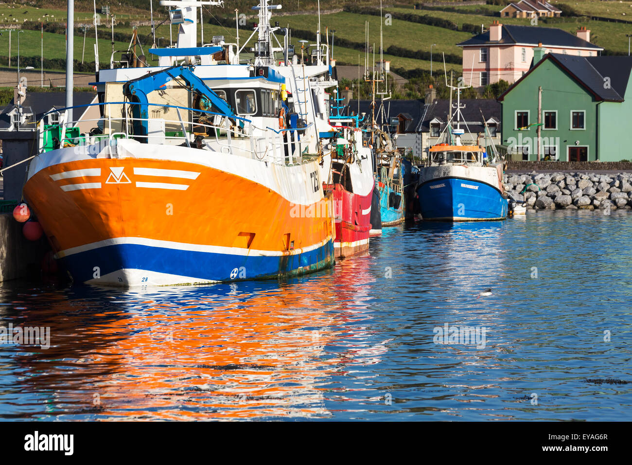 Close up of colourful fishing boats reflecting in the water; Dingle ...