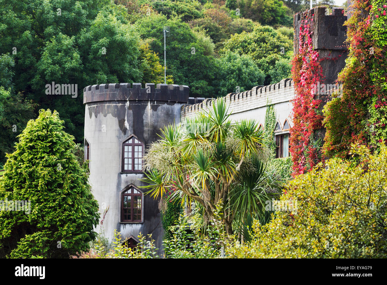 Castle clifden hi-res stock photography and images - Alamy