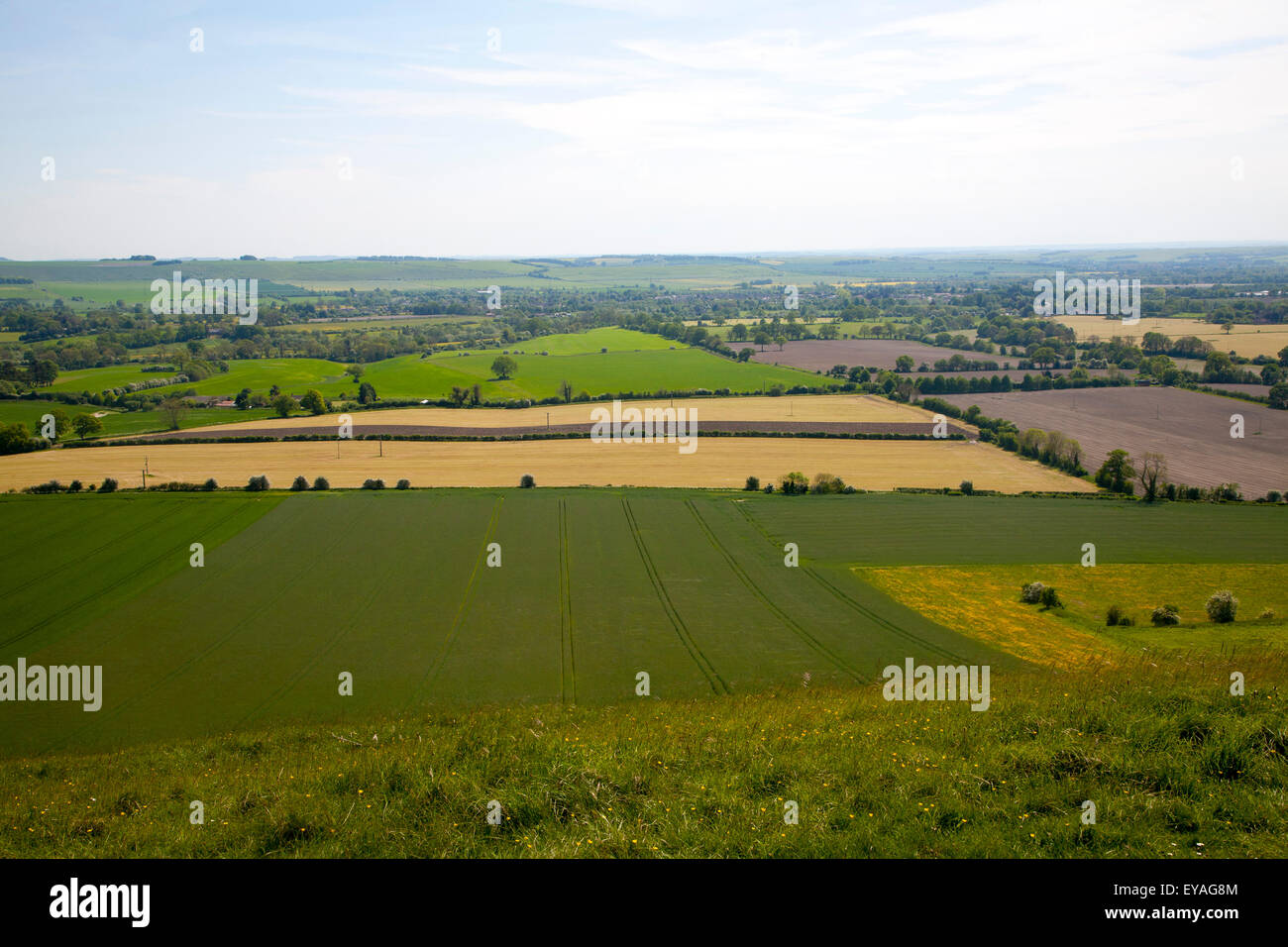 Steep chalk escarpment looking south from the northern side of the Vale ...