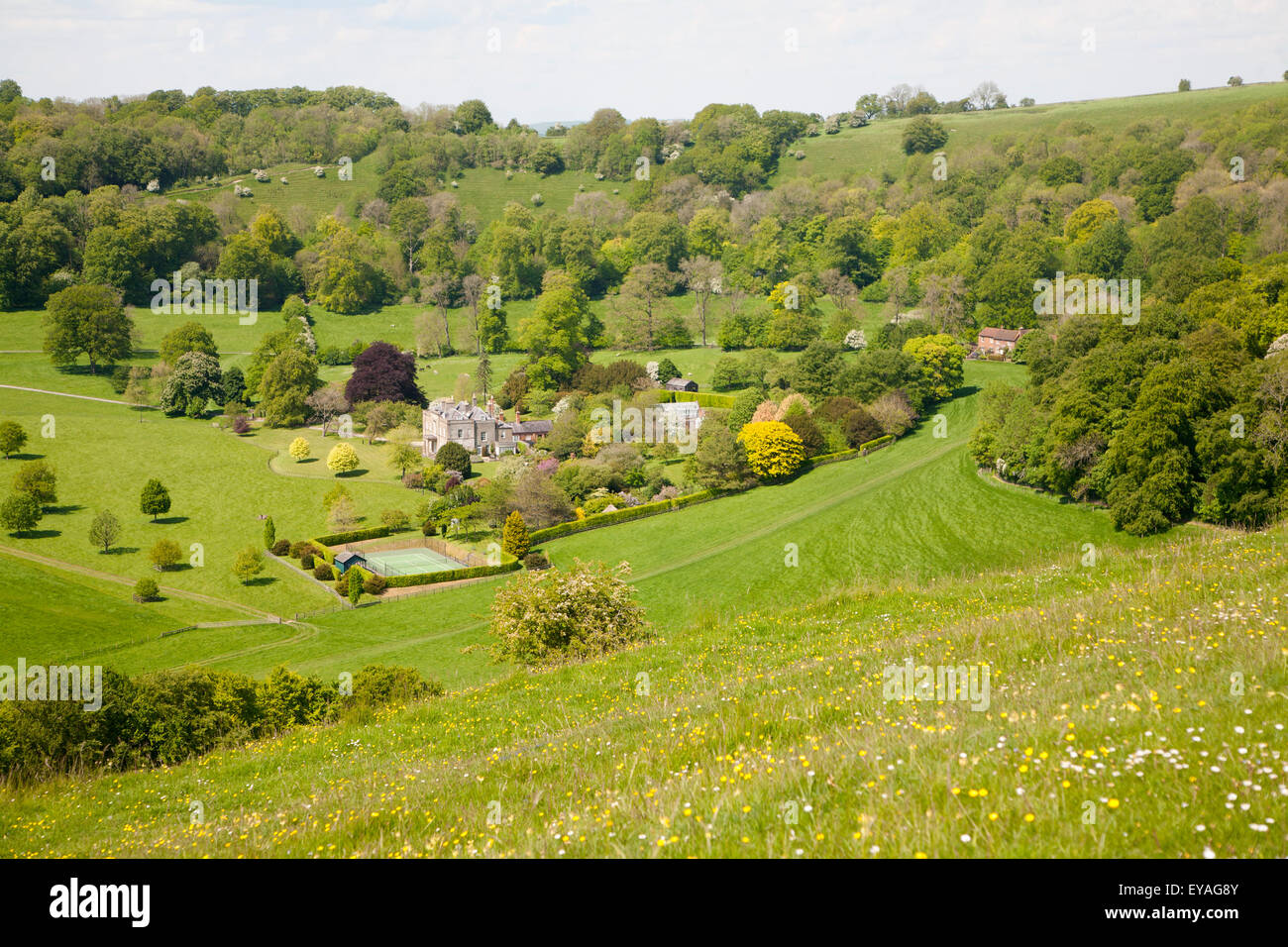 Steep chalk escarpment looking into deep green valley containing ...