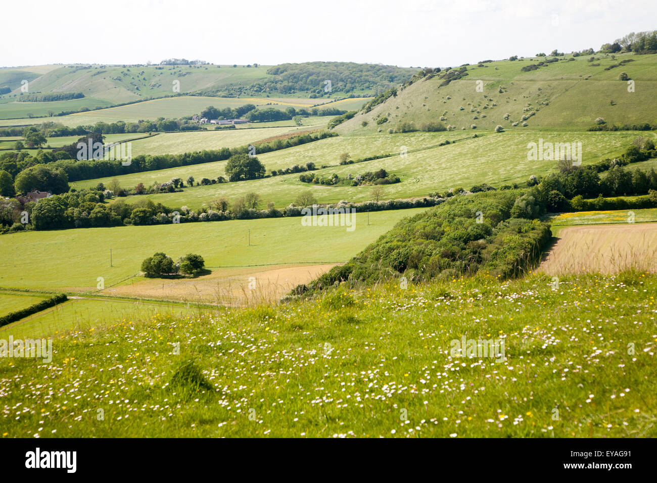 Steep chalk escarpment running westwards on the northern side of the ...