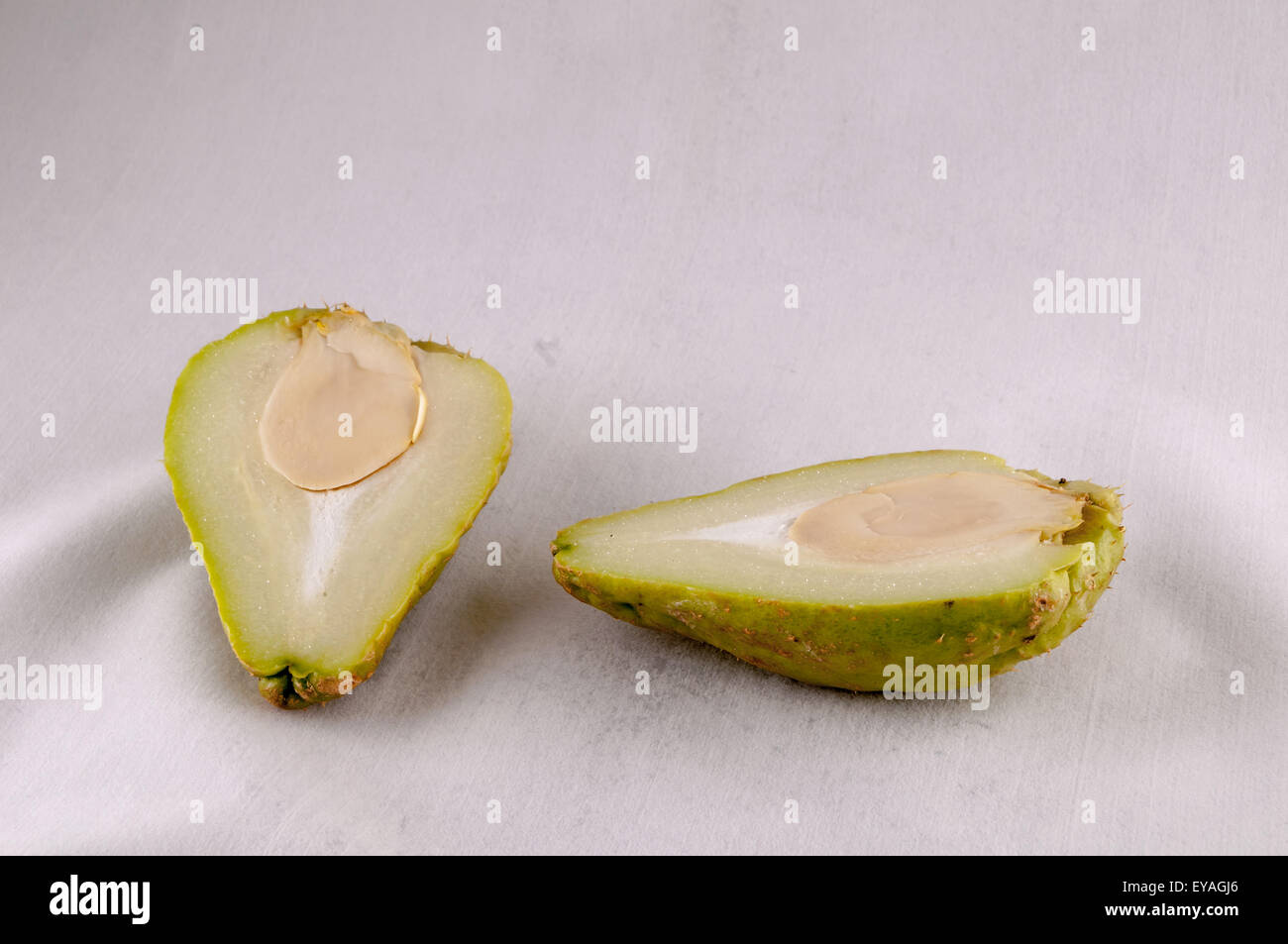 Chayote (Sechium Edule Stock Photo - Alamy
