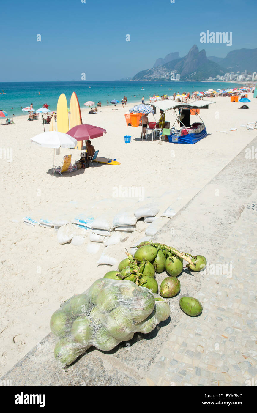 Bunch of fresh green Brazilian coco verde coconuts sitting in the sun ...
